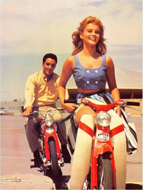 New reincarnation mopeds by brand Honda from 🇯🇵 Japan: Cub, Zoomer and ...